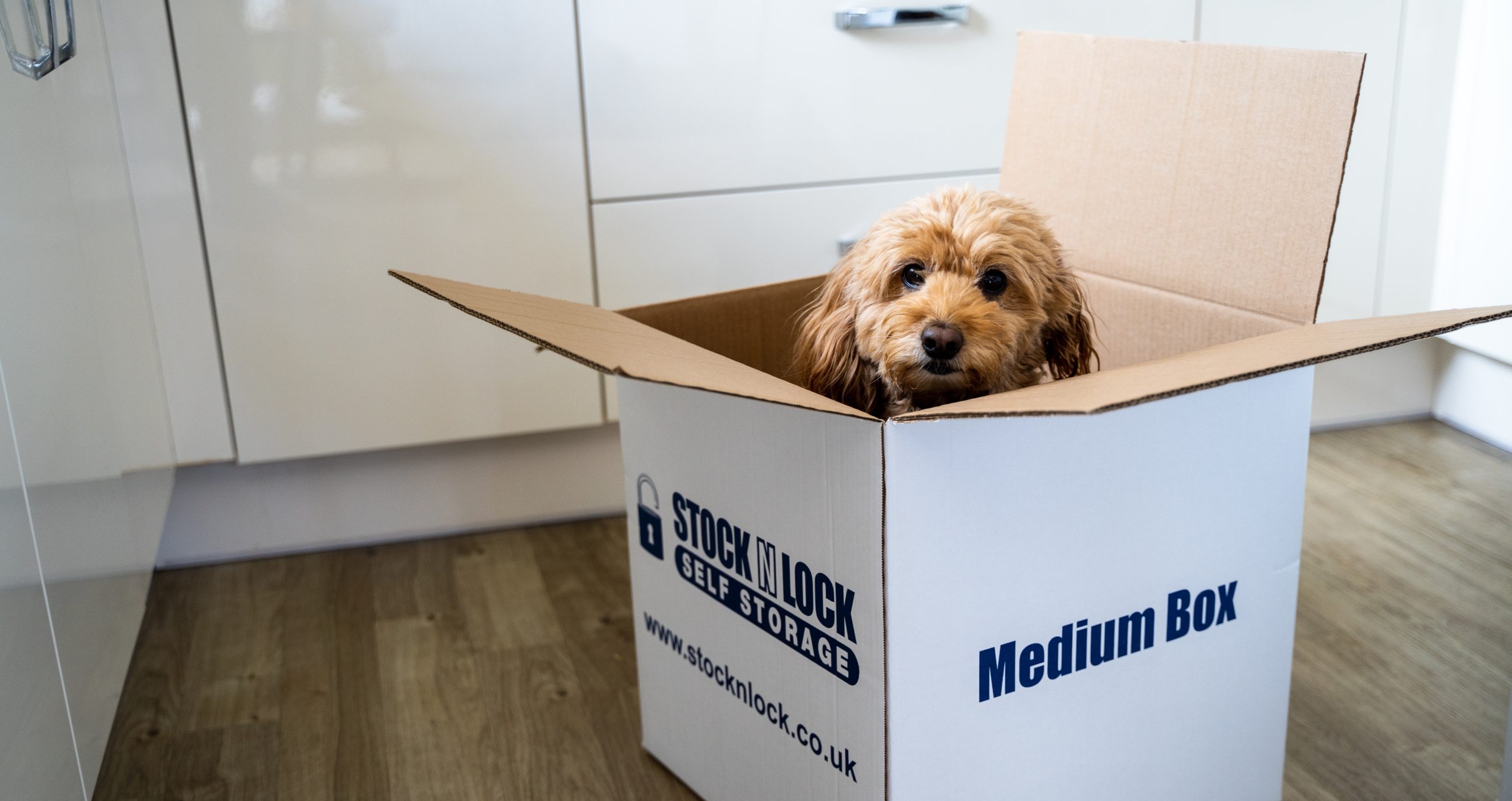 Moving Boxes & Packing Supplies | Stock N Lock Self Storage